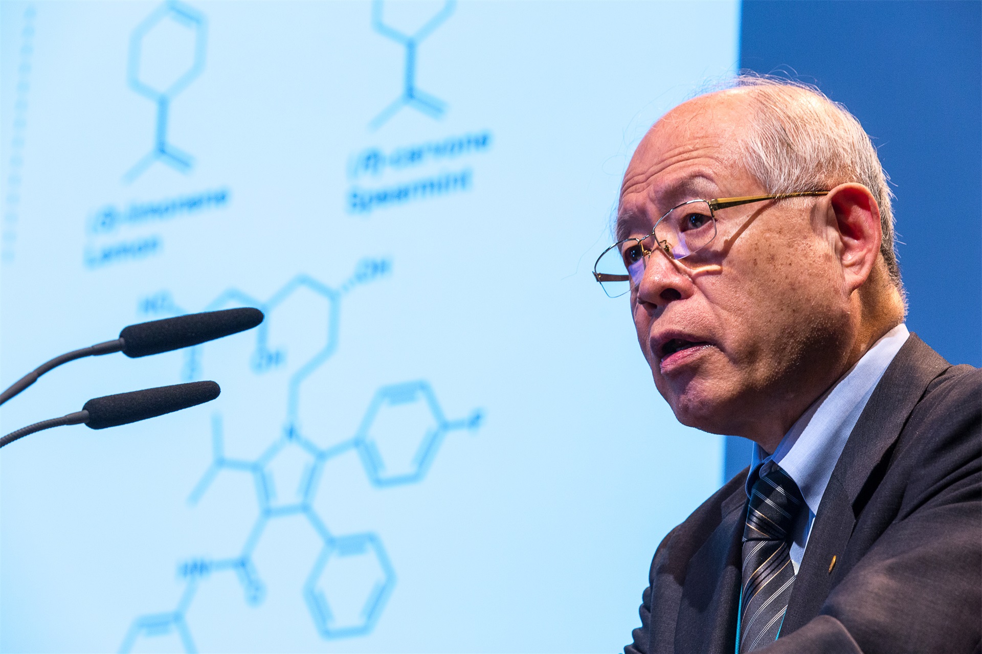 Gallery - Ryoji Noyori | Lindau Mediatheque