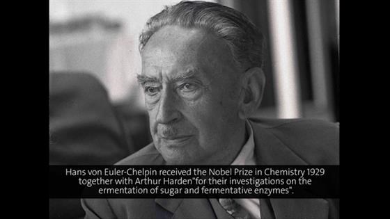 Hans von Euler-Chelpin - Lectures | Lindau Mediatheque
