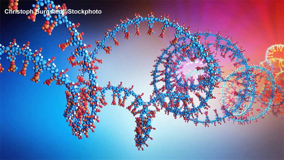 Directed Evolution - Topic | Lindau Mediatheque