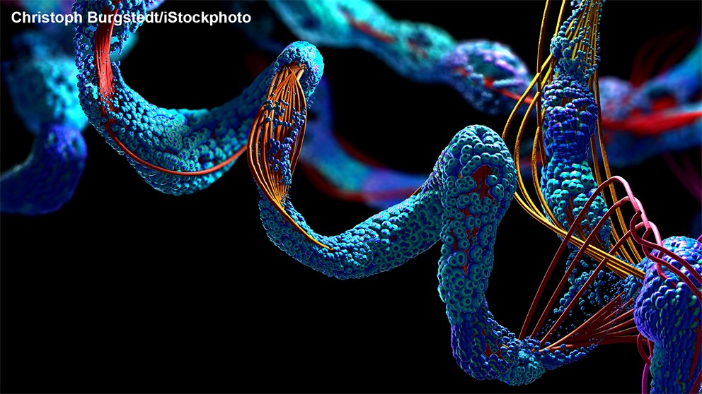 Life of Proteins - Topic | Lindau Mediatheque